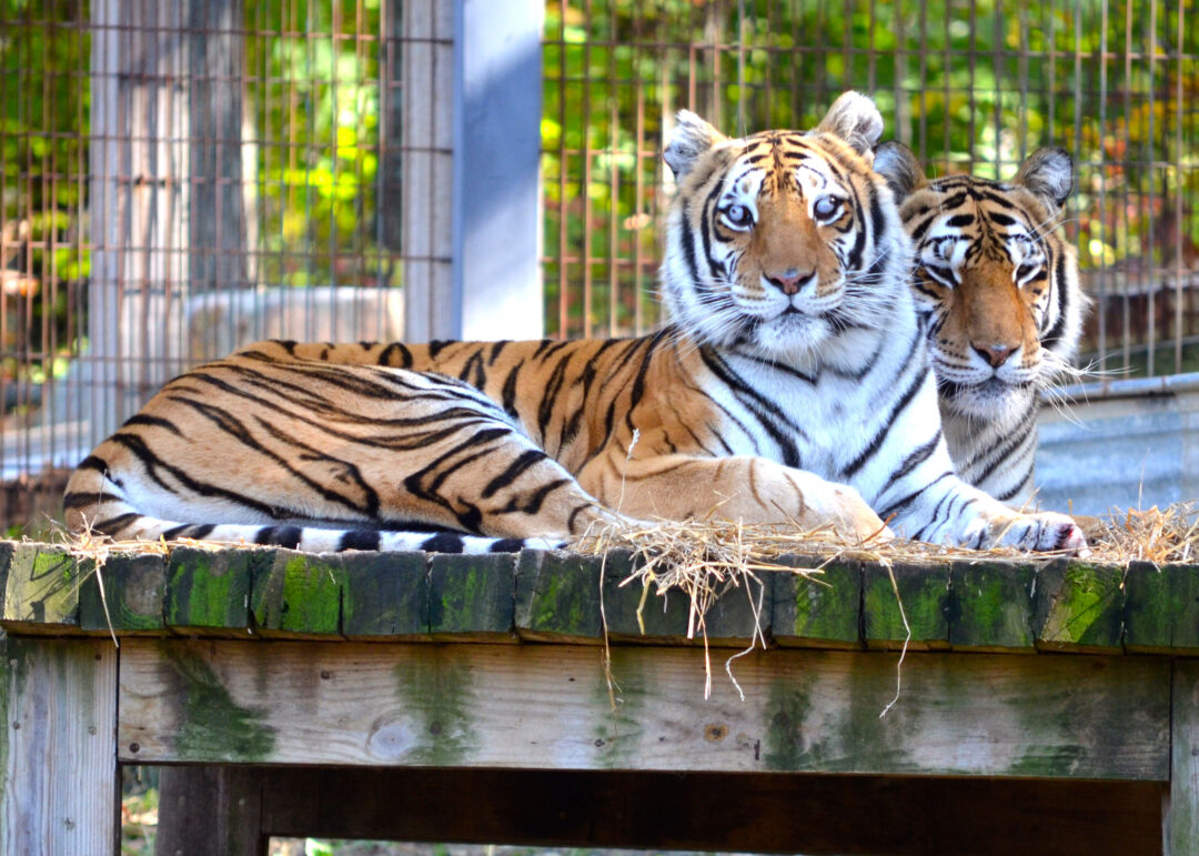 Outdoors & Recreation - Visit Ste Gen