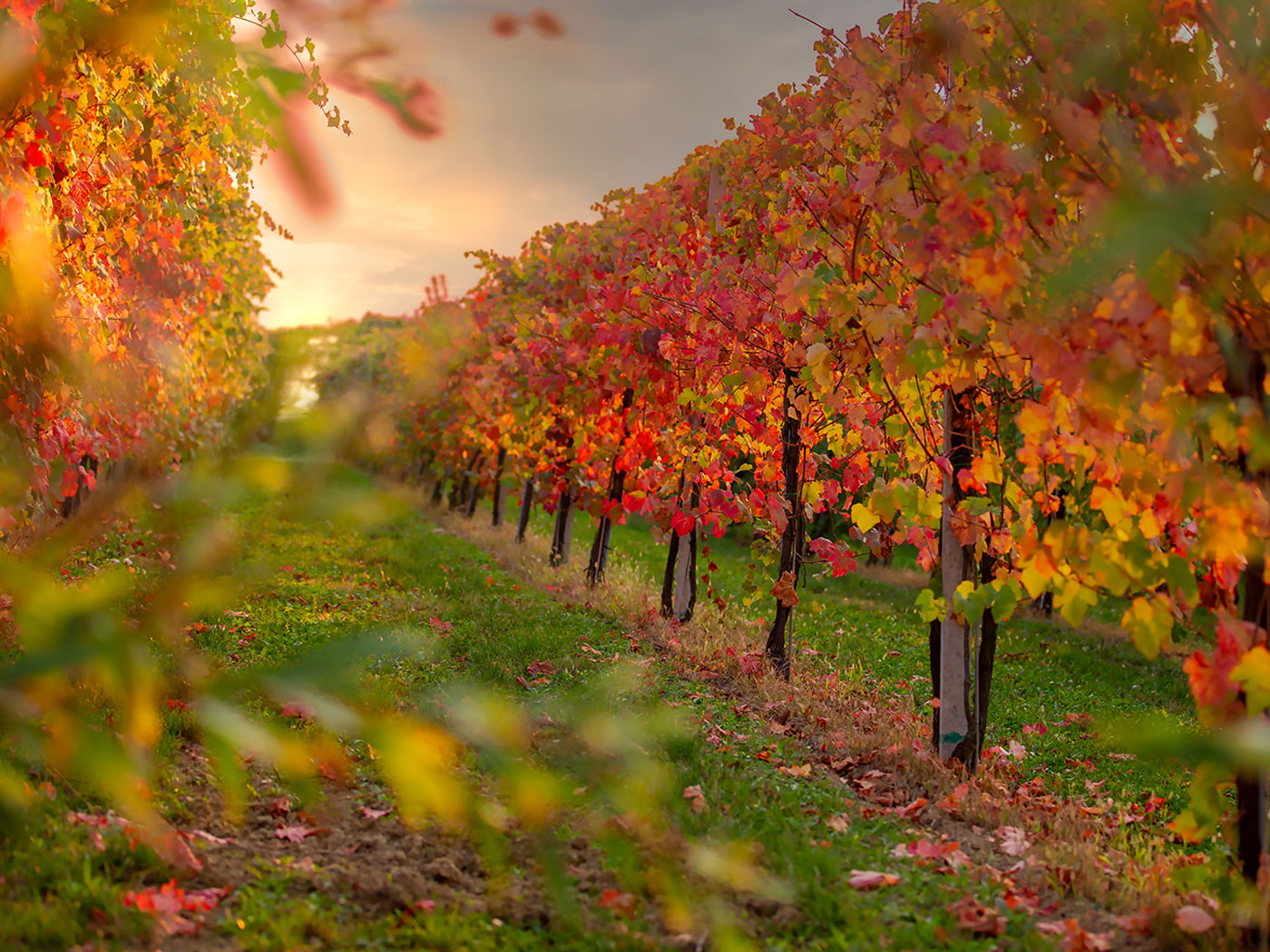 Fall - Visit Ste Gen